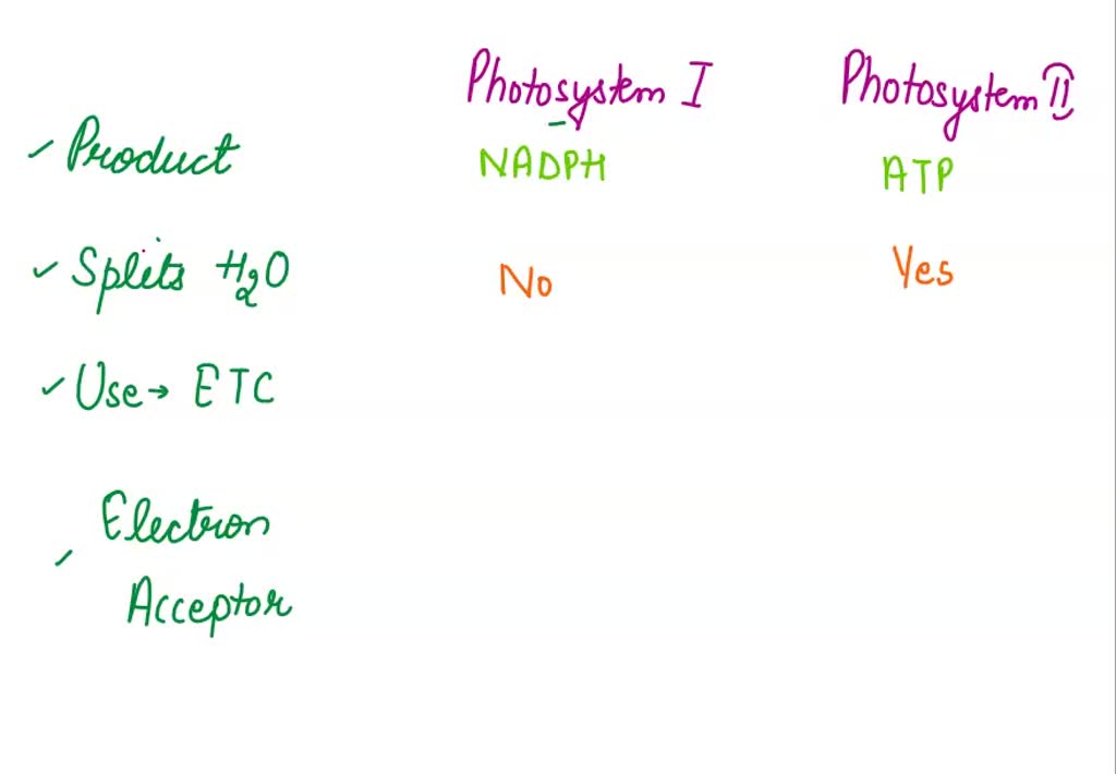 SOLVED: 1. Fill in the following table regarding the photosystems of ...