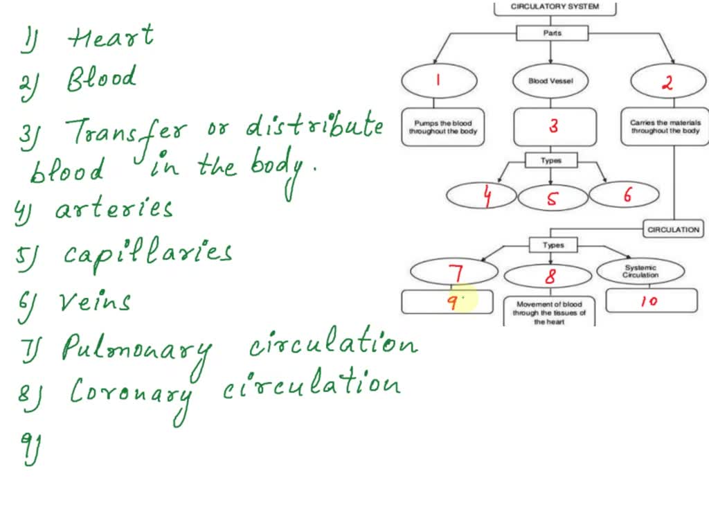 SOLVED: 'what i have learned activity 4.Organize me! objectives ...
