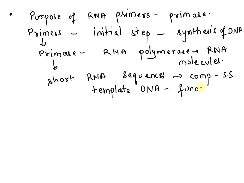 SOLVED: What is the purpose of the RNA primers that are made by primase ...