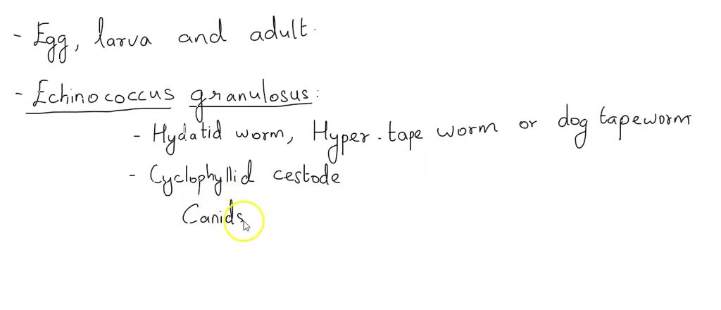 SOLVED: Provide an explanation for the complex life cycles exhibited by ...