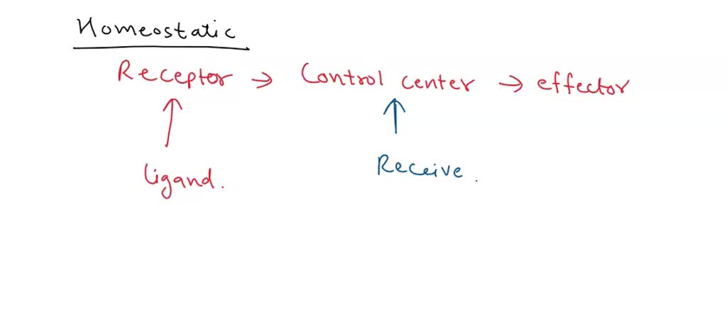 SOLVED: Which of the following is NOT a component of the process of ...