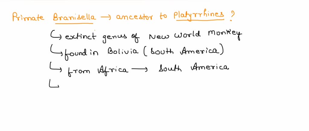 SOLVED: The early primate Branisella is very likely to be an ancestor to living platyrrhines ...