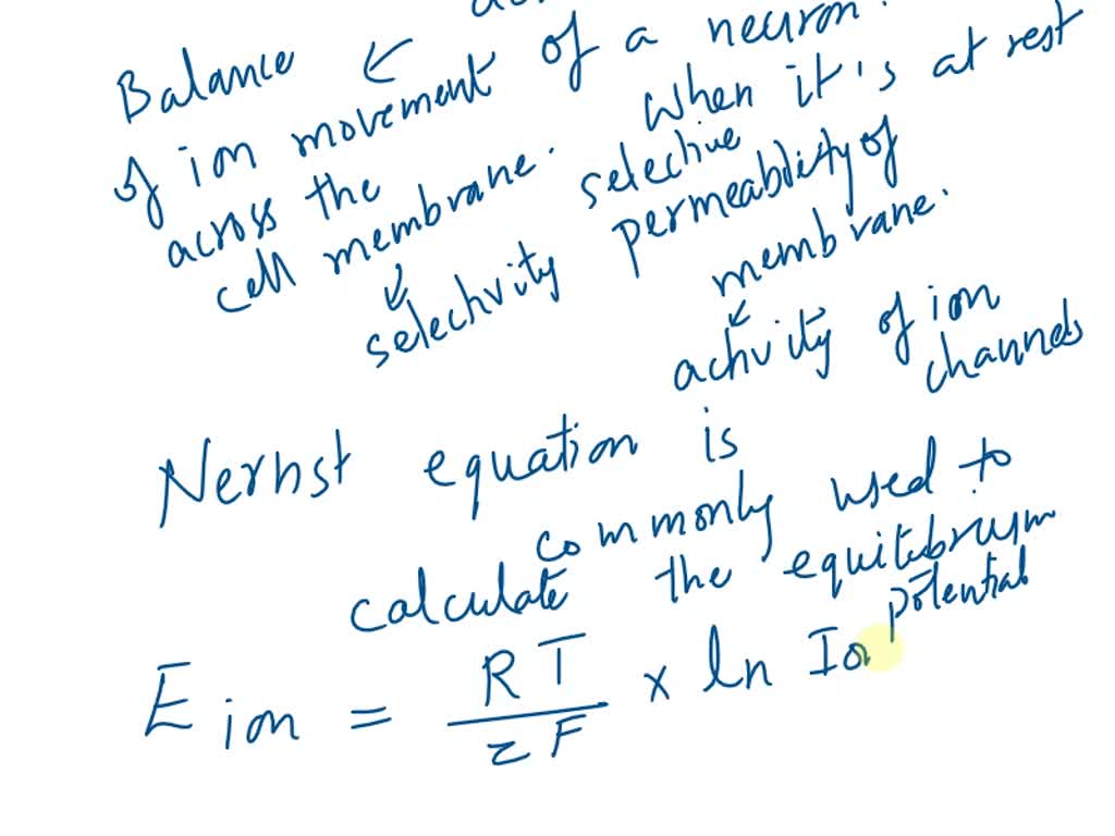 Calculate the equilibrium potential for K+ at 20 Celsius. Equilibrium ...