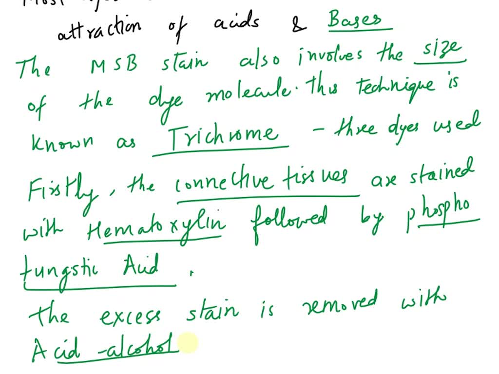 SOLVED: Most dyes stain tissues using the attraction of acids. The MSB ...