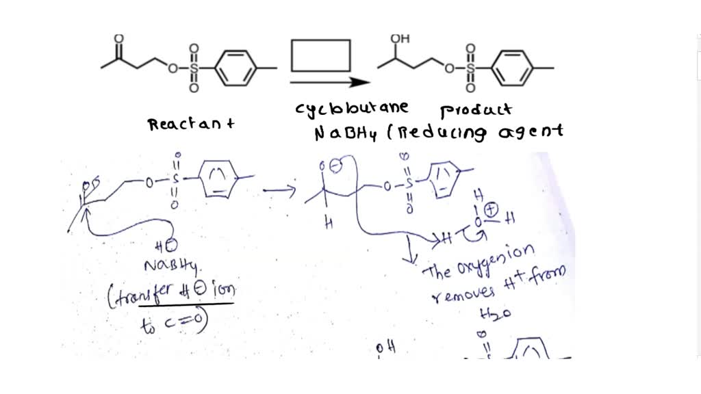 SOLVED: Consider the gas-phase thermal decomposition of 1.0 atm of ...