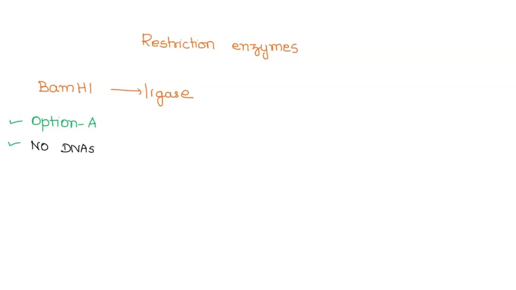 SOLVED:QUESTION 5 The restriction enzymes BamHI and Bcll cut atthe ...