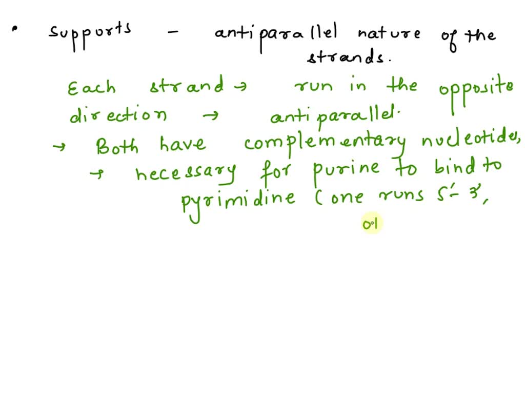 SOLVED: According to Watson and Crick, DNA strands are antiparallel ...