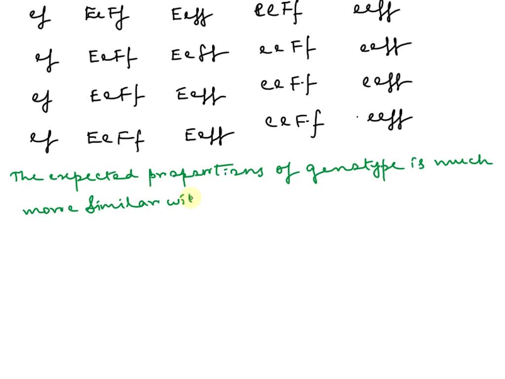SOLVED: The cross EEFF X eeff (E and F are dominant) leads to an F1 ...