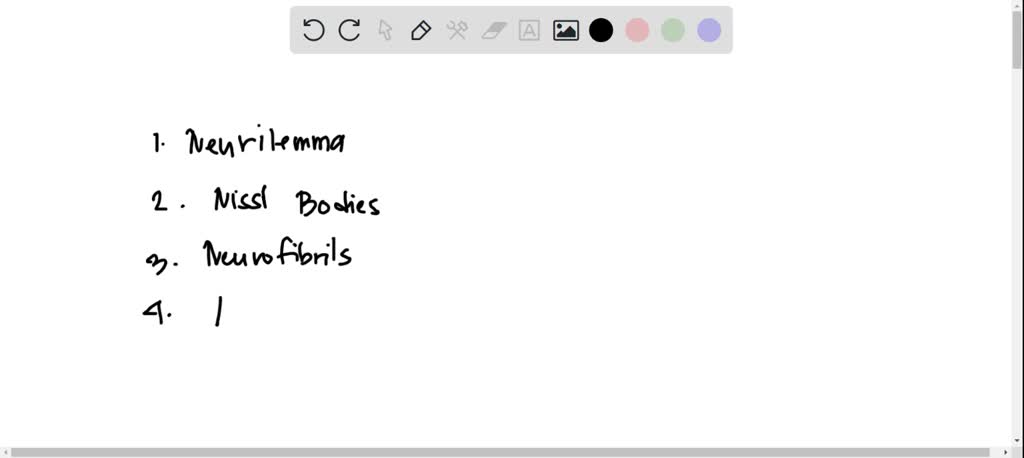 Solved Column A Column B A Astrocyte B Axon C Collateral D Dendrite E Myelin F Neurilemma