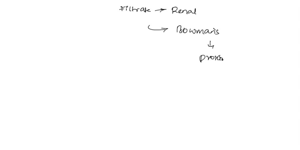 SOLVED: Trace the pathway of filtrate as it flows through the renal ...
