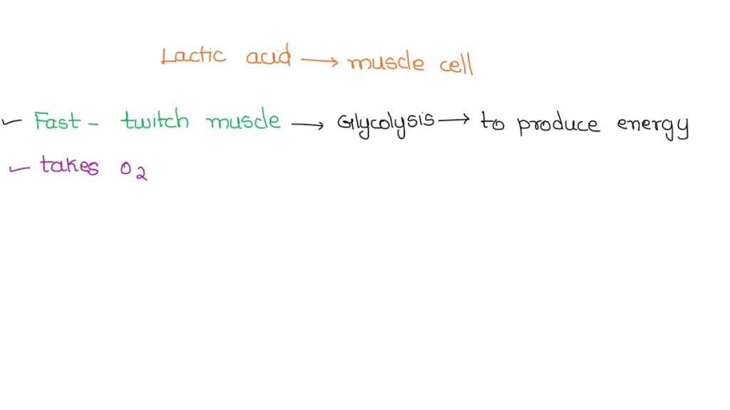 SOLVED: Describe how the lactic acid produced in muscle cells enters ...