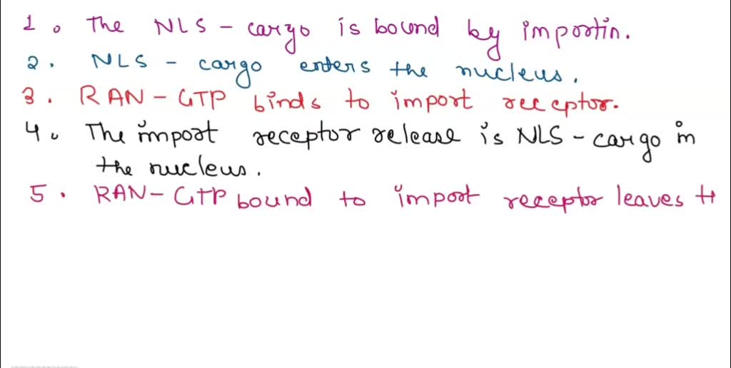 SOLVED: (3) Place the following steps in nuclear import in the correct ...