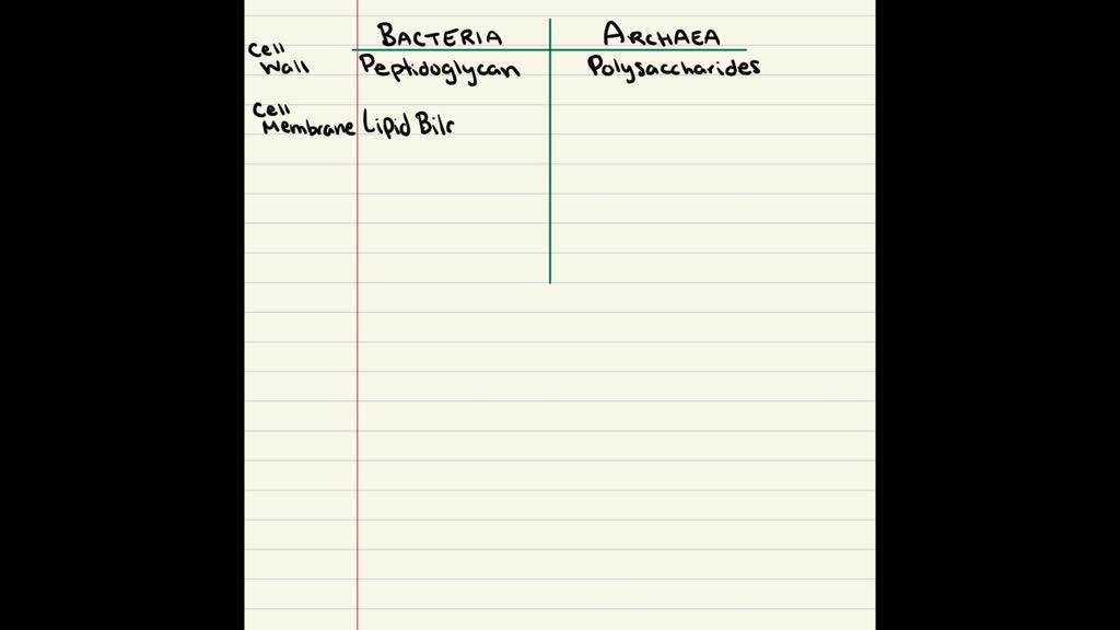 SOLVED: differences between bacteria and fungus SOLVED: differences between bacteria and fungus