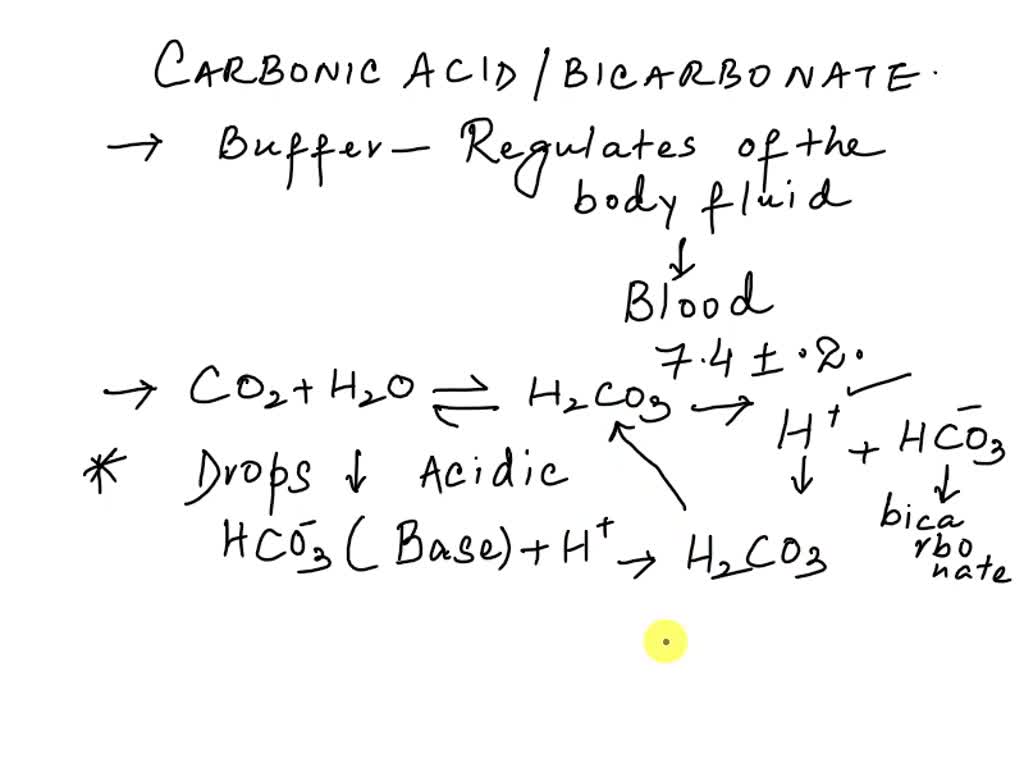 SOLVED: 17. Explain the carbonic acid-bicarbonate buffer system and the ...