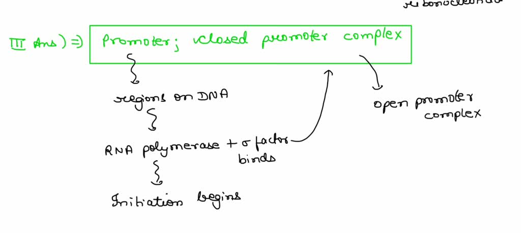 SOLVED: Complete the sentences below using the words and phrases on the ...