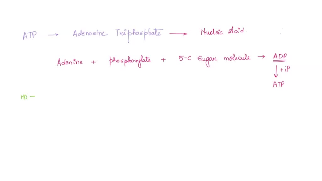 SOLVED: The difference between absolute specificity of an enzyme and ...