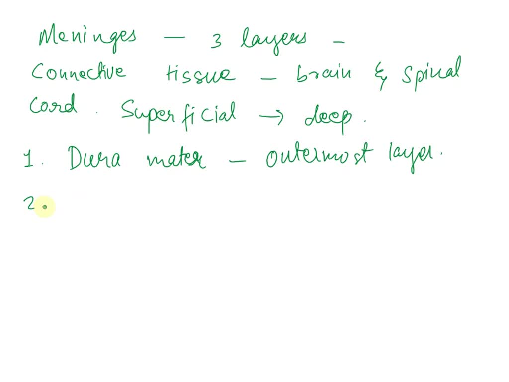 SOLVED: 1. From superficial to deep, the meninges occur in the order: a ...