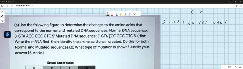 SOLVED: (a) Use the following figure to determine the changes to the amino acids that correspond ...