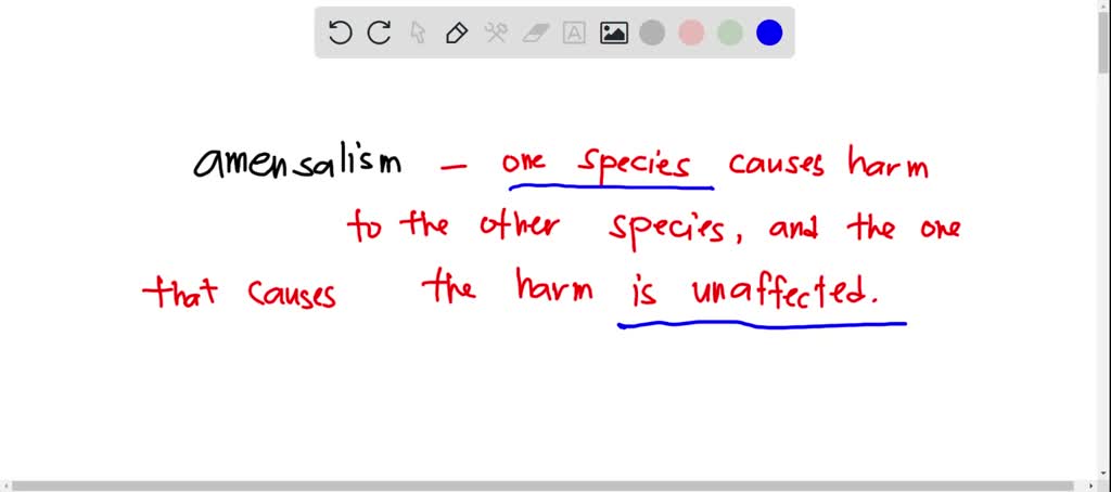 In the amensalism exercise, which associations were examples of ...
