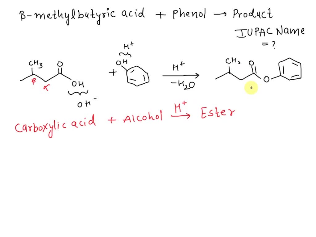SOLVED: What is the IUPAC name of the product that forms when β ...