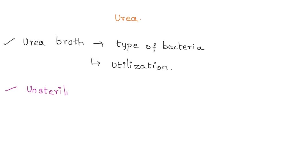 SOLVED: Typically, urea broth is filter-sterilized because autoclaving ...