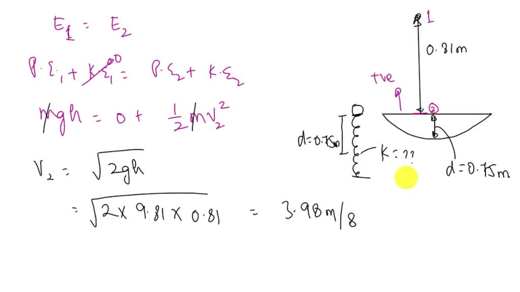 SOLVED: A trampoline acts as a spring, deforming by a distance to store ...