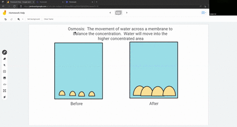 an experimental setup was prepared which consisted of two beakers one ...