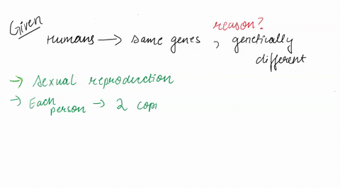 All humans have the same but each human has different genes...