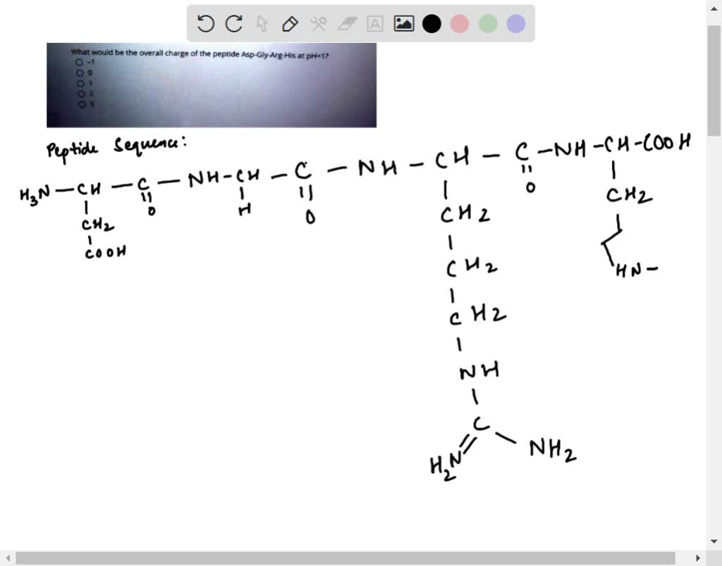 SOLVED: 1) Draw the peptide CAKE, Include chirality and protonation ...
