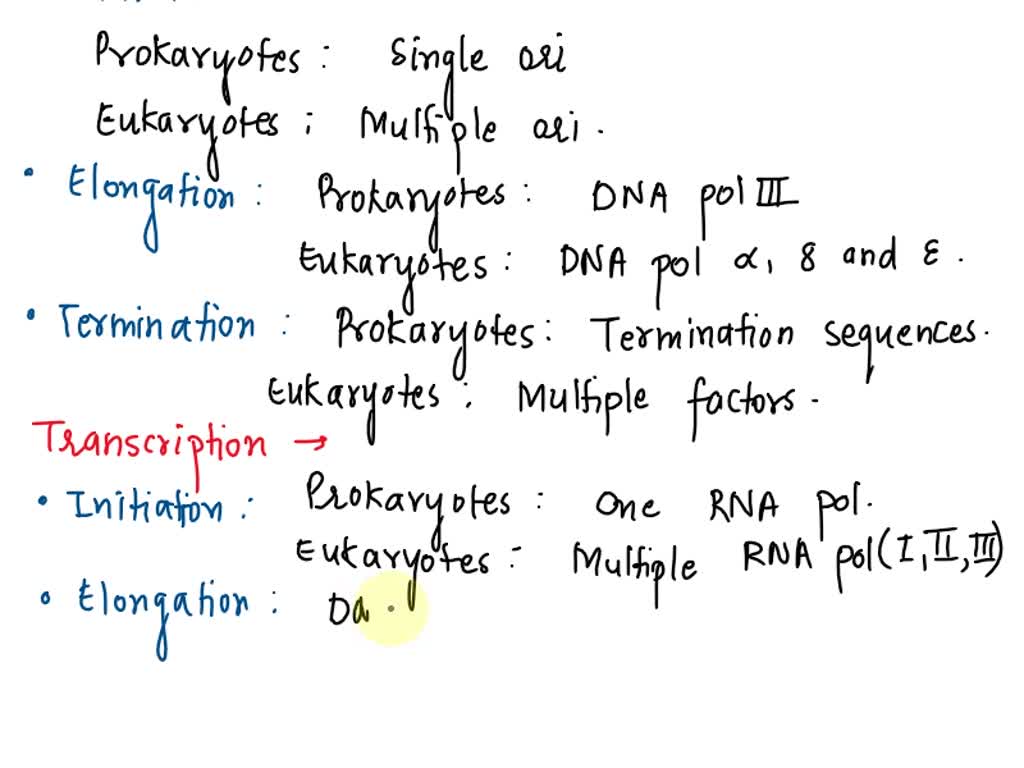 SOLVED: Write the components of DNA Replication, Transcription and ...