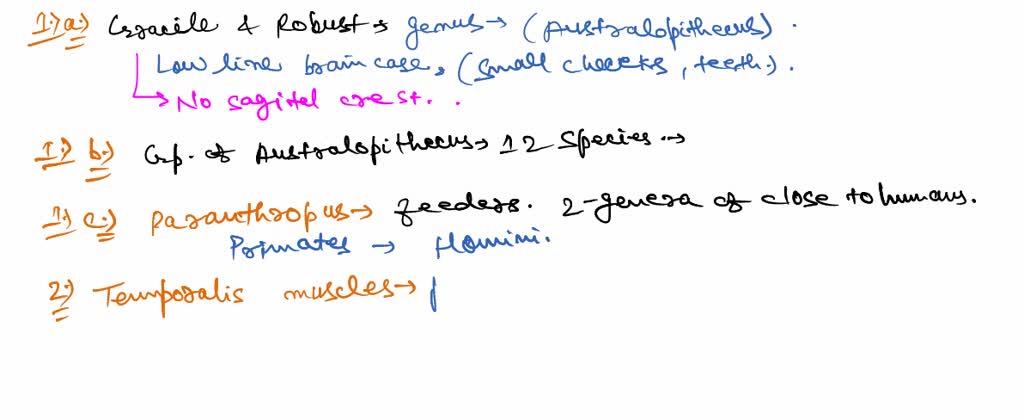 Background on Australopithecus and Paranthropus Species Here is ...