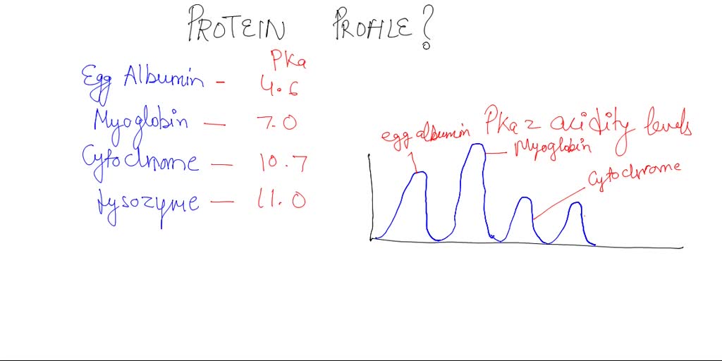 SOLVED: Now, draw the protein profile of A280 vs. elution volume that ...