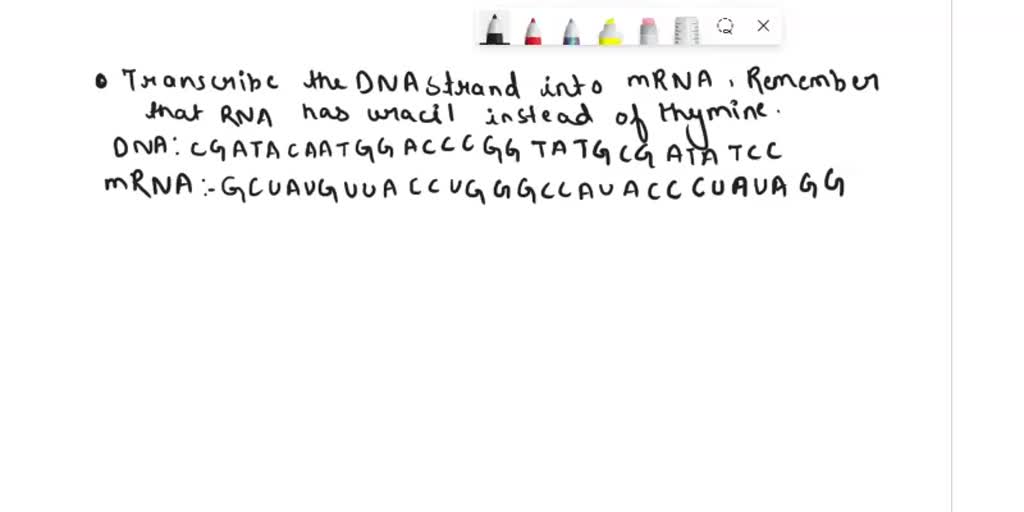 SOLVED: Texts: Use the template strand to transcribe each letter into ...