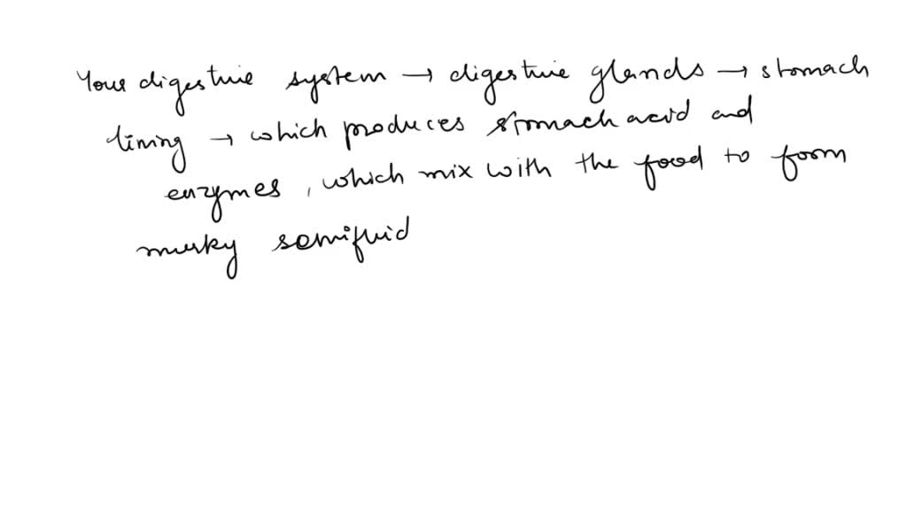 SOLVED: As the food in the stomach is repeatedly squeezed and mixed ...