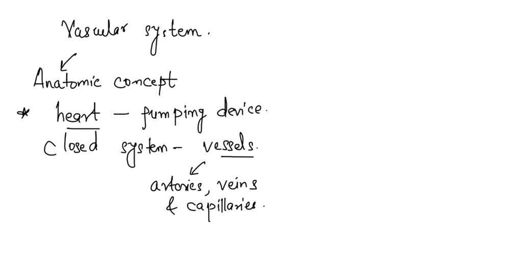 SOLVED: Give the meaning of the following root words: Module 1 ...