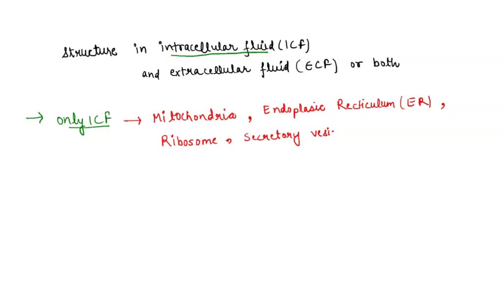 Drag each label into the appropriate box to designate whether the ...