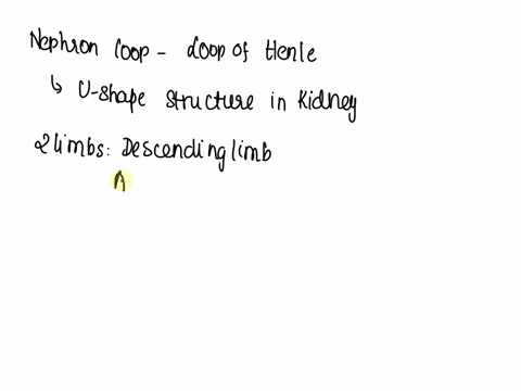 Ascending tubule the use the image limb of the nephron loop...