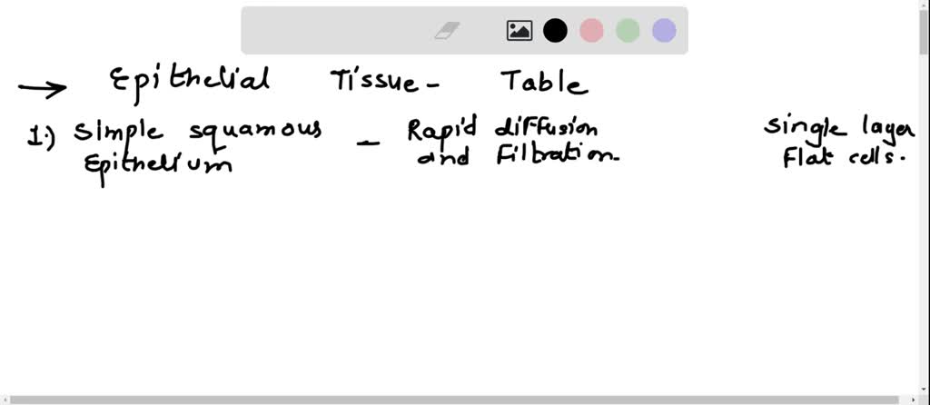 complete Table 4.1. Locations and Function of Epithelial Tissues TABLE ...