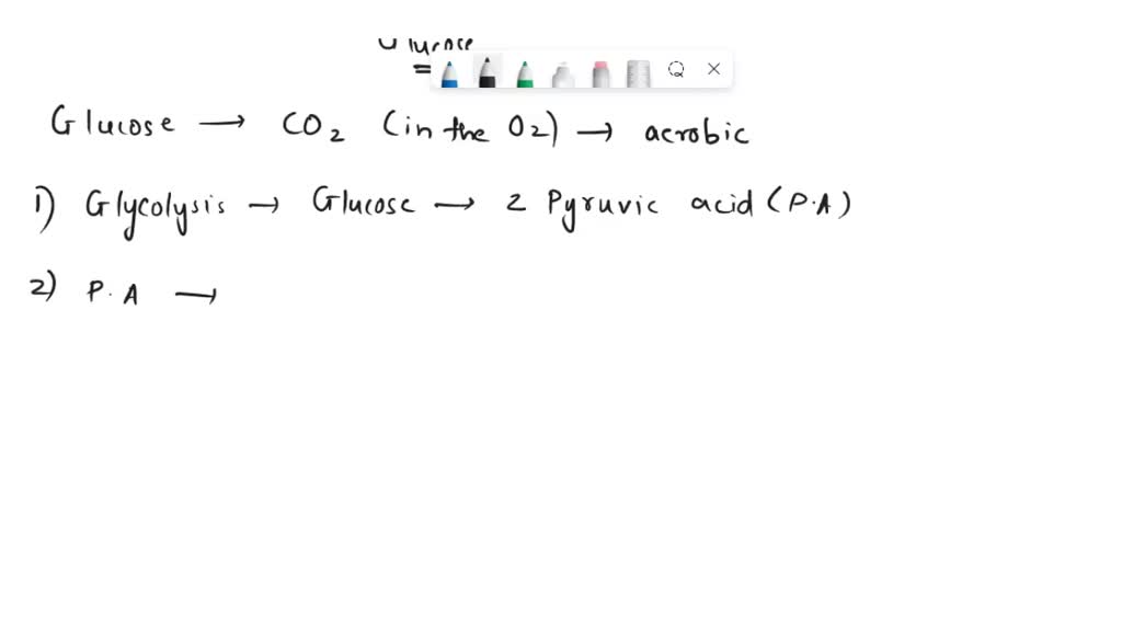 SOLVED: Which correctly shows the order of steps in aerobic cellular ...