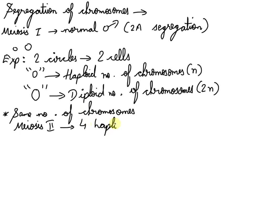 SOLVED: 2 Represent the segregation of chromosomes during Meiosis 1 and ...