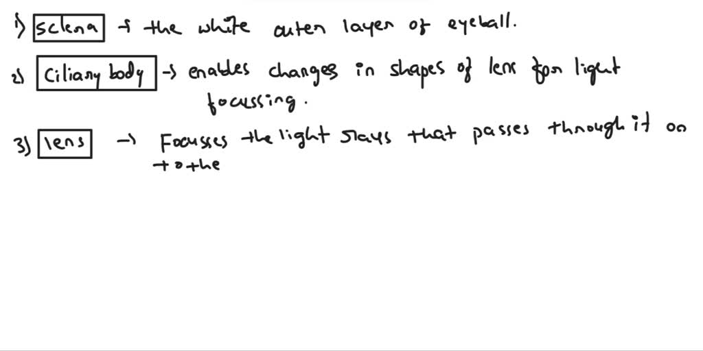 SOLVED: FIGURE 35.14: Partial frontal cut of dissected cow eye. Label ...