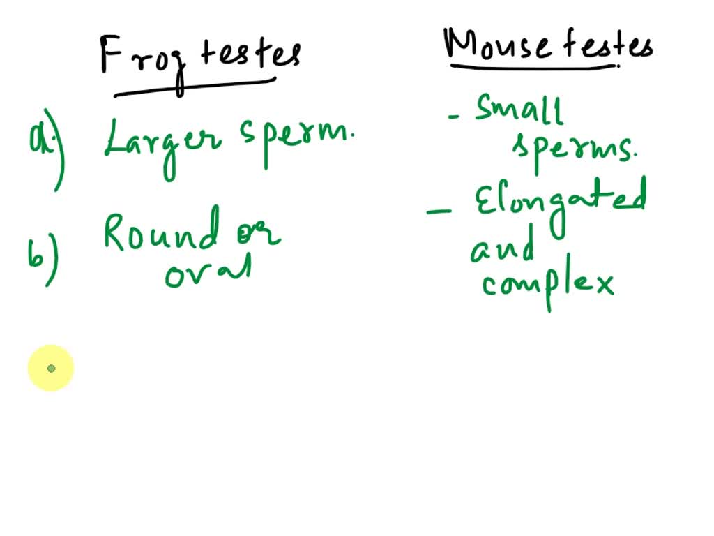 SOLVED: Compare and contrast the frog testis and the mouse testis in ...