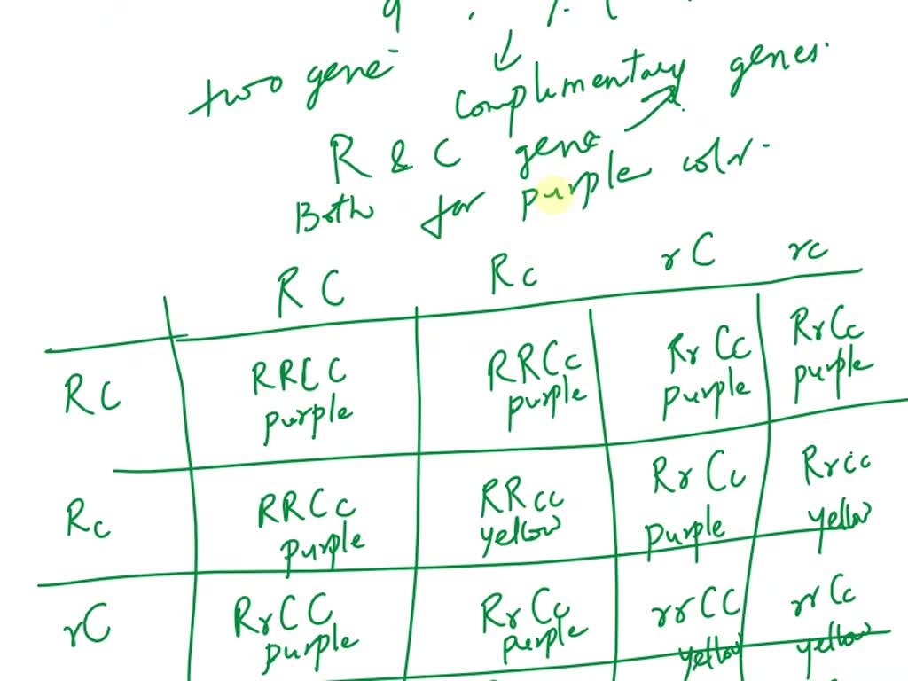 SOLVED: Dihybrid crosses and Statistics in the Model Organism Maize ...