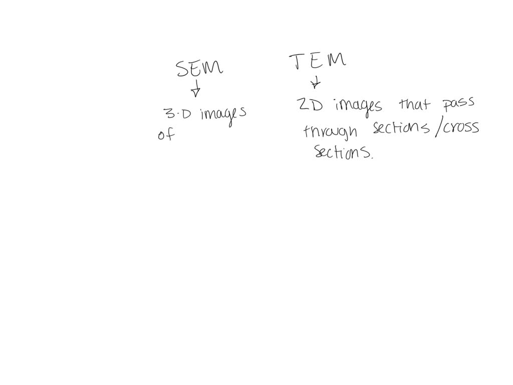 SOLVED: Scanning electron microscopes (SEM) and transmission electron ...