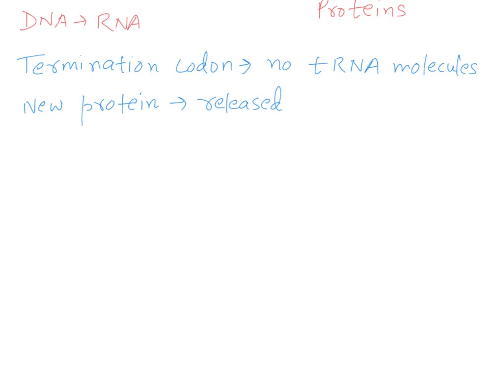 SOLVED: Explain how the stop codon allows for termination. In your own ...