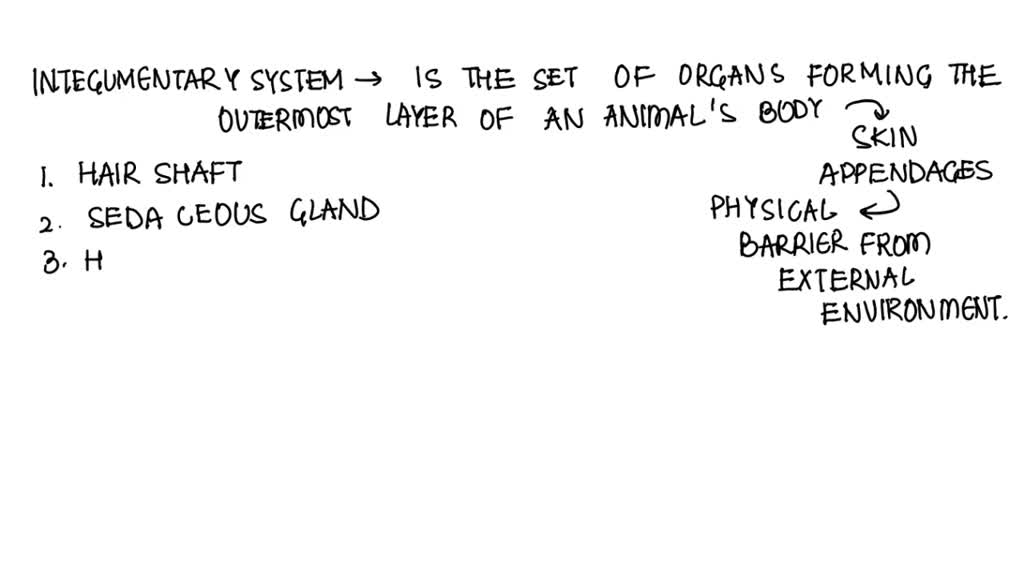 Solved A Labeling Label The Structure Of A Lymph Node 2