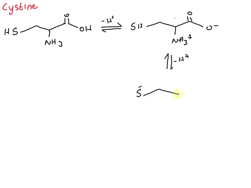 SOLVED: Draw the structures of L-Cysteine from highly protonated to deprotonated form. Note ...