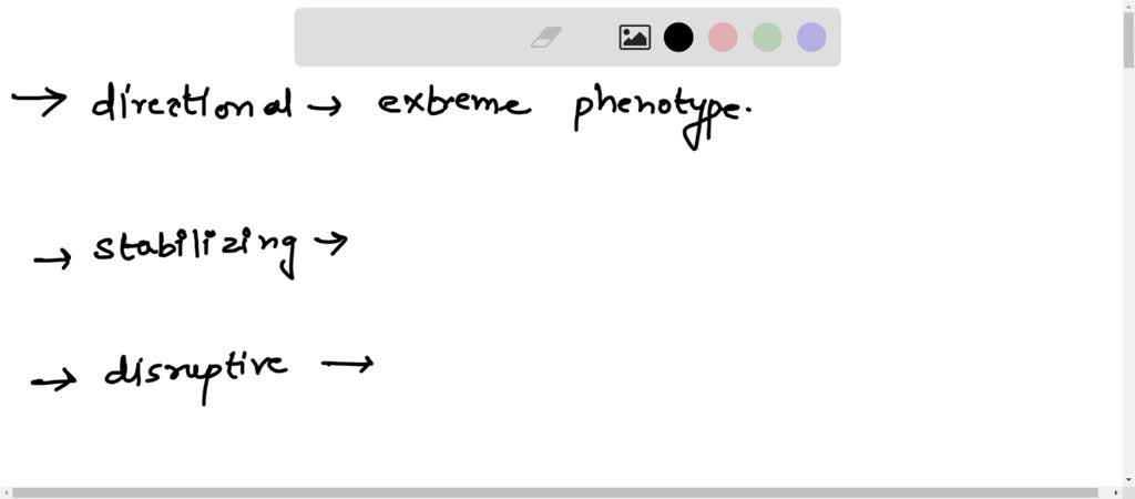 SOLVED: what are the differences between directional ,stabilizing and ...