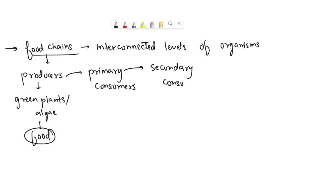 SOLVED: 'complete explanations of the trophic levels SENECA Get premium ...