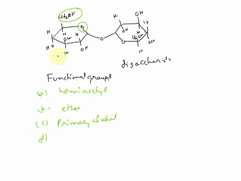 Draw the following molecular structures a disaccharide that...